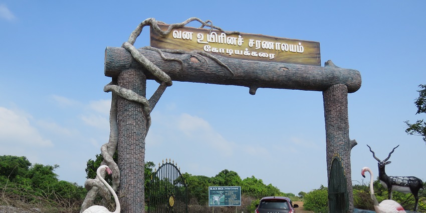 13 Best Places to Visit In Nagapattinam: A Unique Vacation - TripXL