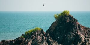 10 Beautiful Beaches In Karnataka Every Tourist Must Visit - TripXL