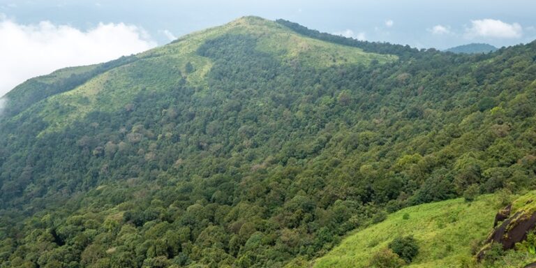 5 Places To Visit In Kalasa For An Unforgettable Trip - TripXL