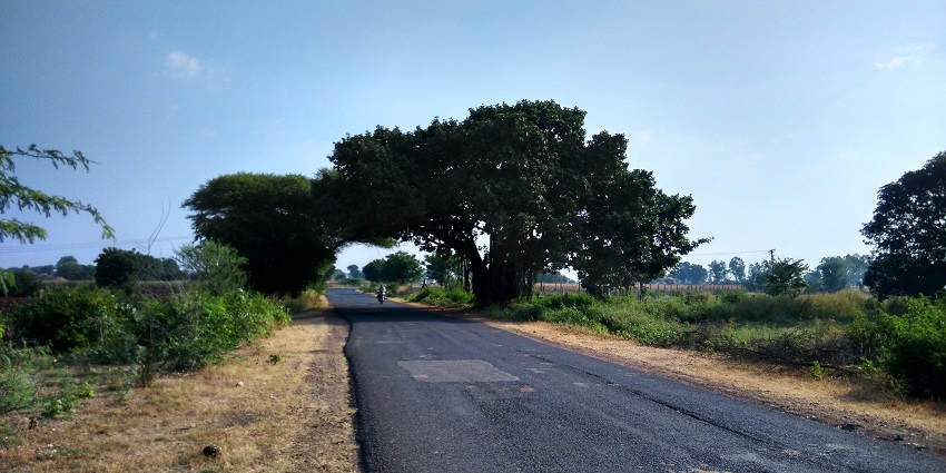 Ratangarh Fort: Unveil History And Heritage Of Rajasthan - TripXL