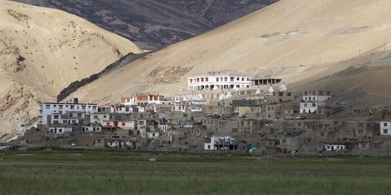 Changthang Wildlife Sanctuary: A High-Altitude Haven In Ladakh - TripXL