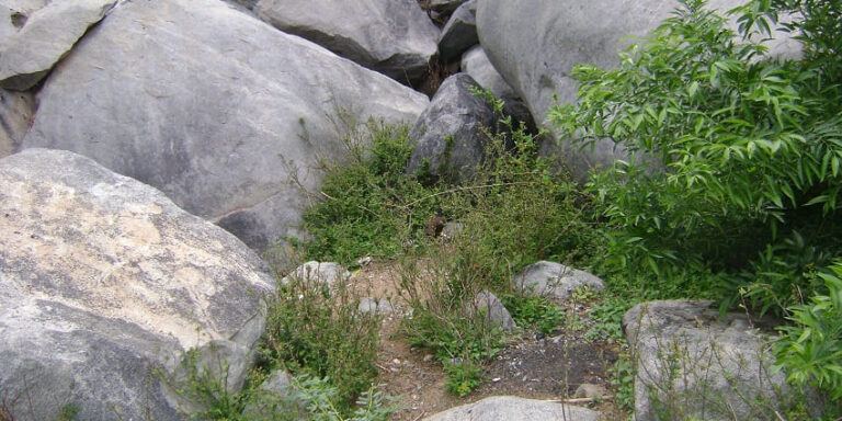 Rayakottai Fort: Discover The Hidden Marvel In Tamil Nadu - TripXL