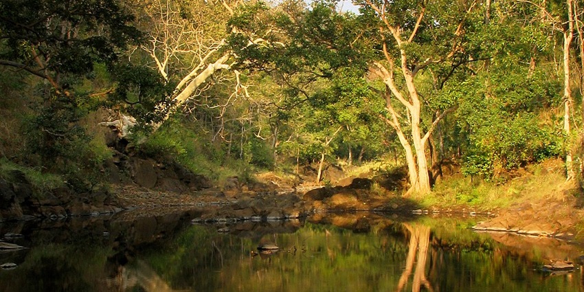 Melghat National Park: Discover This Gem In Amravati - TripXL