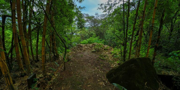 20 Best Places To Visit Near Dombivli For A Scenic Getaway - TripXL