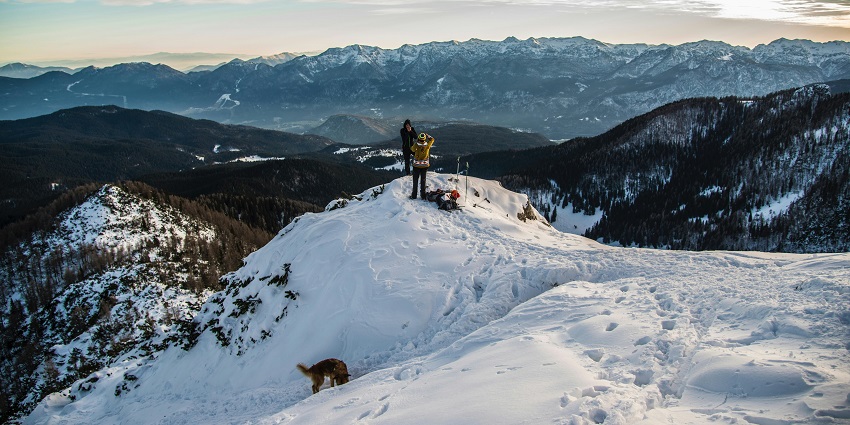 Trekking In Jammu: Explore Solace And Adventure In Nature - TripXL