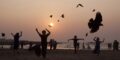 Top 10 Beaches Near Mumbai For A Perfect Weekend Outing - TripXL