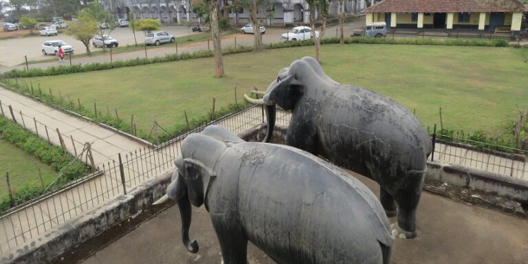 Things To Do In Madikeri: Uncover Beauty Of Thrilling Coorg - TripXL