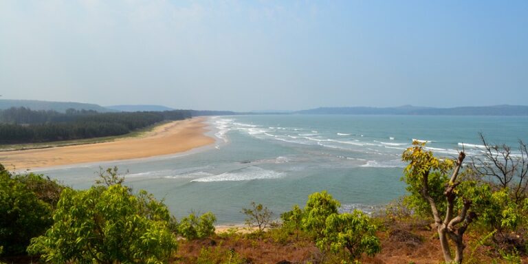 Best Places To Visit In Devgad: Beaches And Mango Orchards - TripXL