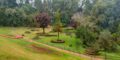 10 Things To Do In Anaikatti For A Nature Lover’s Paradise - TripXL