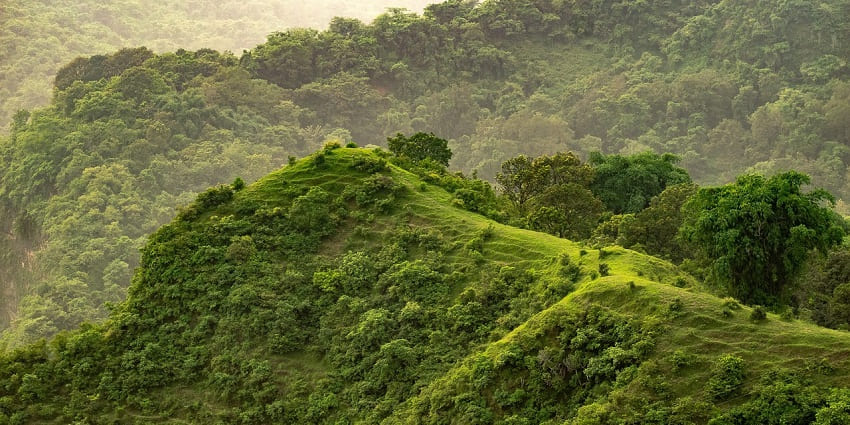 8 Things To Do In Dharmasthala: Exploration And Recreation - TripXL