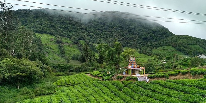 Sathuragiri Hills Trekking: Adventure In Tamil Nadu's Scenic Mountains ...