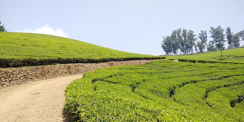 Suruli Waterfalls: Guide To Nature’s Serenity In Tamil Nadu - TripXL