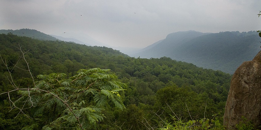 10 Best Places To Visit Near Krishnagiri - TripXL