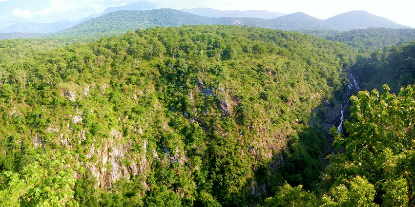 Top Places To Visit In Gudalur: Must-See Attractions - TripXL