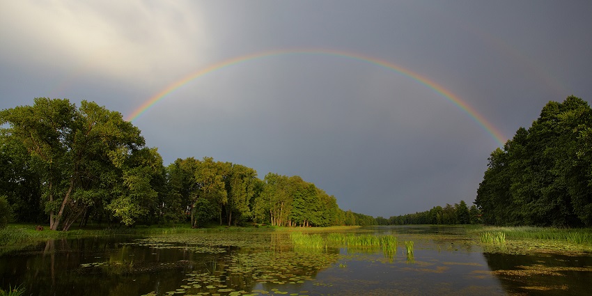11 Places To Visit Near Nandi Hills: Your Ultimate Travel Guide - TripXL