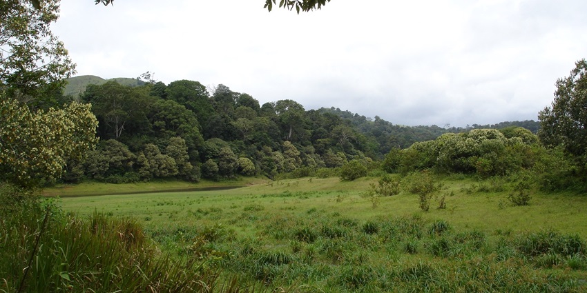 National Parks Near Pune: Explore India’s Exotic Wildlife - TripXL