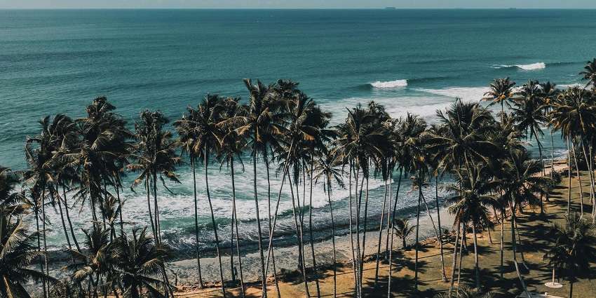 Butterfly Beach In Goa: A Must Visit Hidden Beach - TripXL