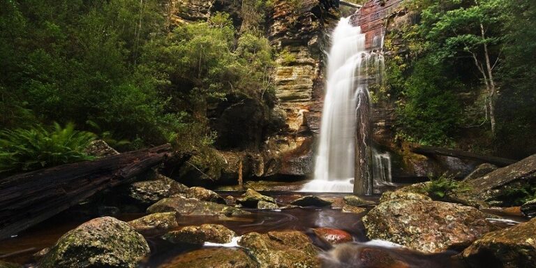 Puliyancholai Waterfalls: Partake In The Splashing Serenity - TripXL