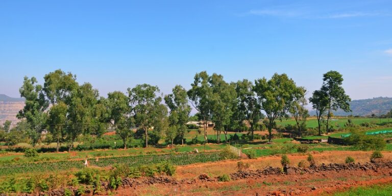 Top Places To Visit In Maharashtra In March For Adventure - TripXL