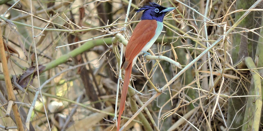 15 Cultural Places To Visit In Kharghar For All Travellers - TripXL