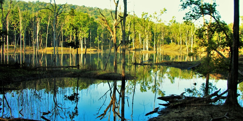 Places To Visit In Vidarbha: A Comprehensive Travel Guide - TripXL