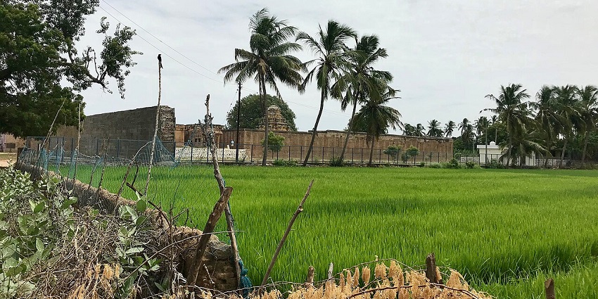 10 Places To Visit Near Hogenakkal Falls For Every Traveller - TripXL