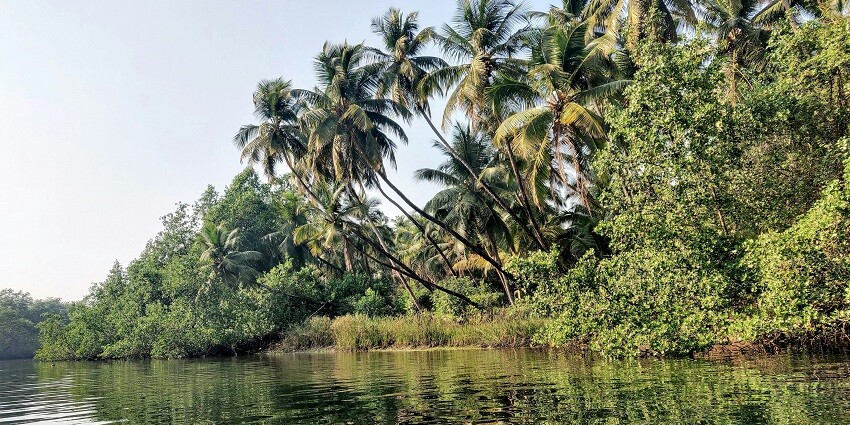 14 Places To Visit In Honnavar: Blend Of Nature And Heritage - TripXL