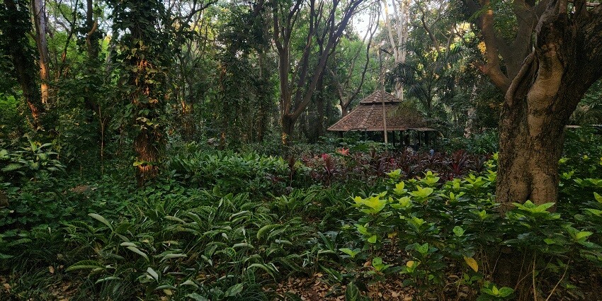 8 Places To Visit In Malleswaram For An Enthralling Trip - TripXL