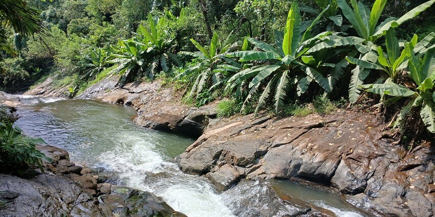 Puliyancholai Waterfalls: Partake In The Splashing Serenity - TripXL