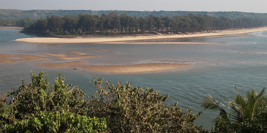 10 Best Places To Visit Near Morjim Beach In Goa - TripXL