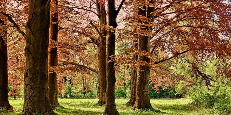 Haunted Places In Thane: Nerve Chilling Places To Visit - TripXL