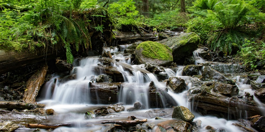 Places To Visit In Sagar For An Amazing Cultural Experience - TripXL