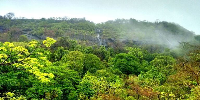 Top 14 Places To Visit Near Borivali For A Historical View - TripXL