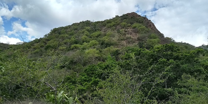 Sathuragiri Hills Trekking: Adventure In Tamil Nadu's Scenic Mountains ...