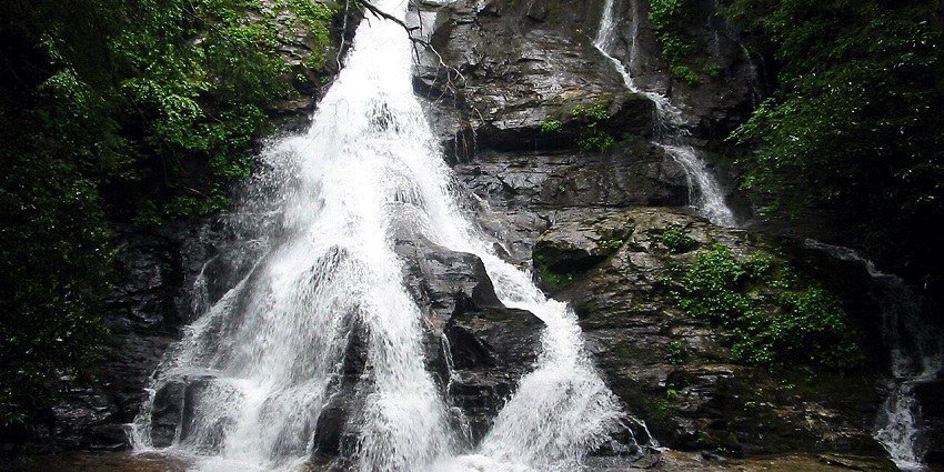 10 Places To Visit In Sringeri: Discover The Top Attractions - TripXL