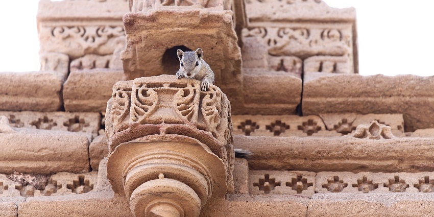 10 Temples In Tindivanam For A Divine And Cultural Retreat - TripXL