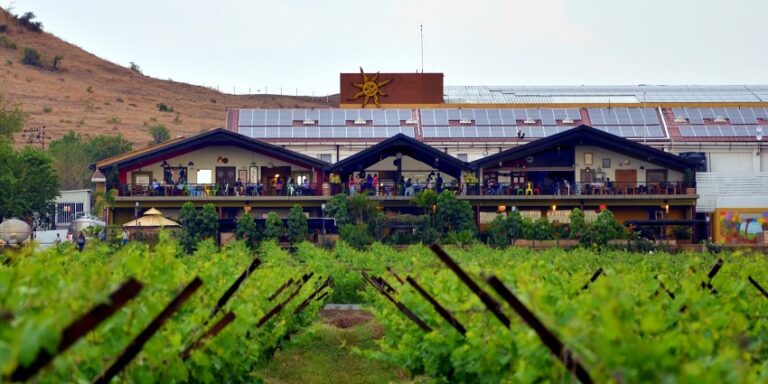 Places To Visit In Nashik With Family For A Quiant Retreat - TripXL