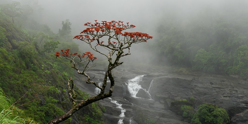 Places To Visit Near Belgaum For Unforgettable Adventures - TripXL