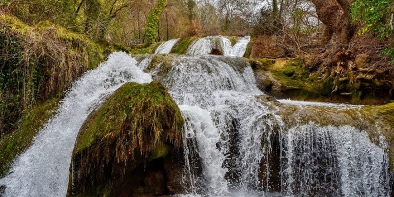 Top 15 Things To Do In Kunnur: Explore The Scenic Wonders - TripXL