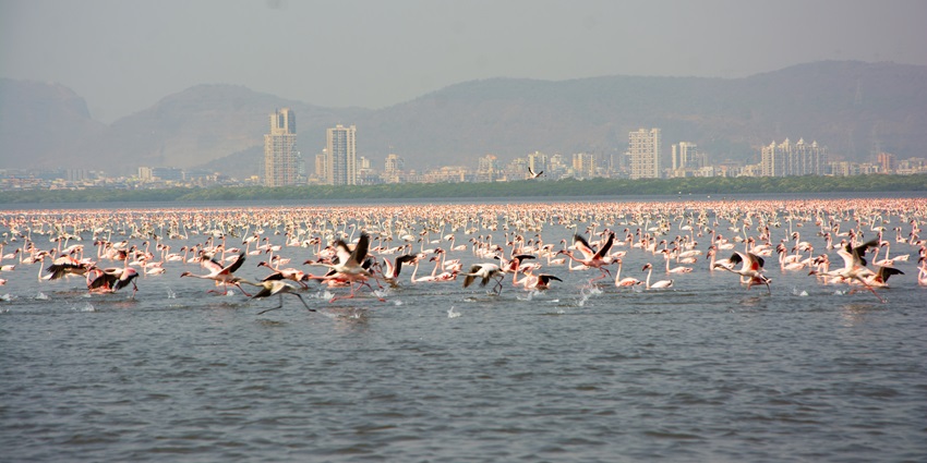 Places To Visit Near Pune In April: Scenic Spots And Cultural Sites ...