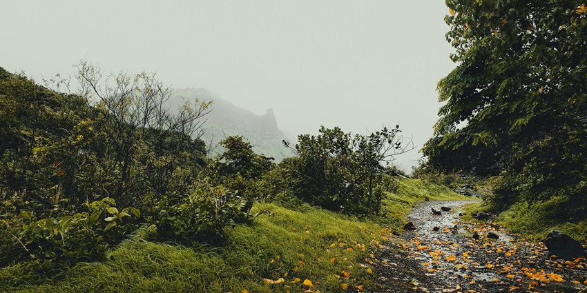 Places To Visit In Thane With Friends For Memorable Adventures - TripXL