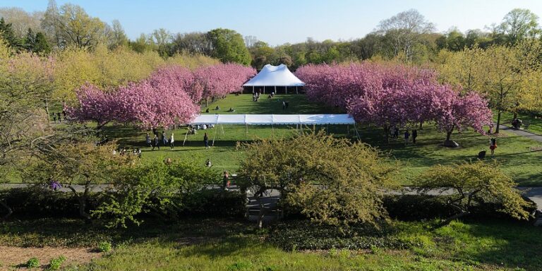 Places To Visit In Velachery: Tamil Nadu’s Serene Cities - TripXL