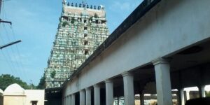 Visit Thirukadaiyur Temple: A Sanctuary Of Divine Blessings - TripXL