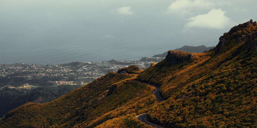 Tiruttani Temple: Explore Spiritual Essence Of Tamil Nadu - TripXL