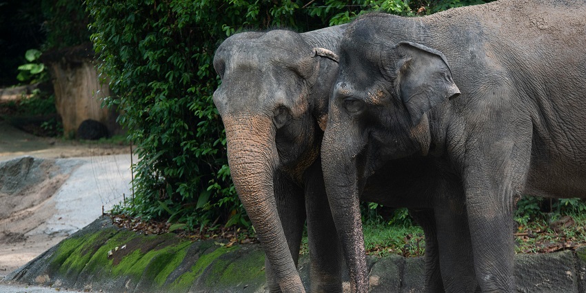 Toranmal Wildlife Sanctuary: A Scenic Spot Perched On A Hill - TripXL