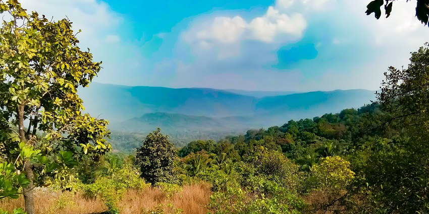 Top 14 Things To Do In Panshet: Your Complete Guide To Town - TripXL