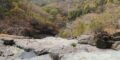 Wildlife Sanctuaries In Mumbai: Fauna In The Heart Of India - TripXL