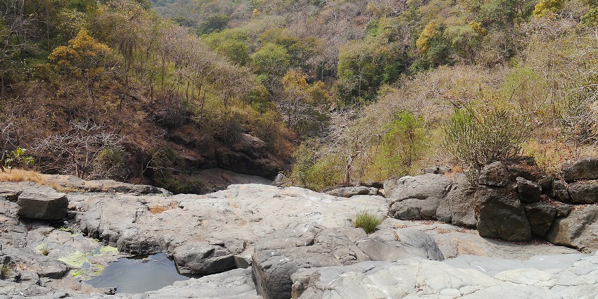 Wildlife Sanctuaries In Mumbai: Fauna In The Heart Of India - TripXL