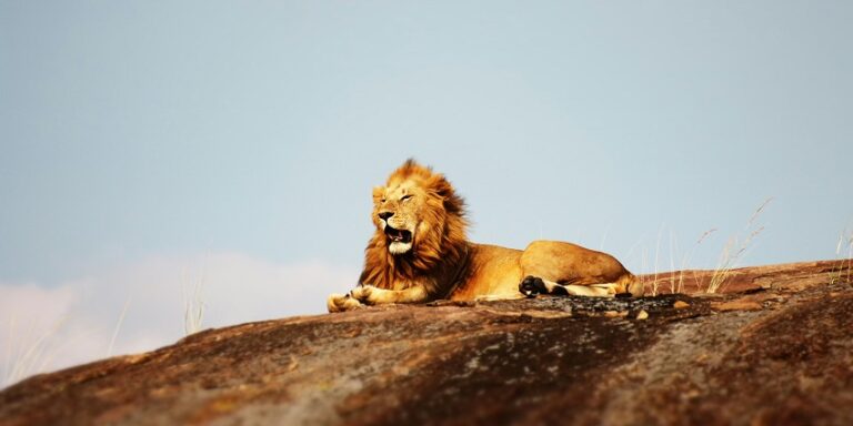 8 Best Places To Visit Near Shimoga For A Memorable Trip - TripXL