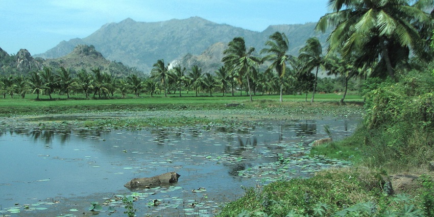 Ulakkai Aruvi Waterfalls: Discover Unique Charm Of Nature - TripXL
